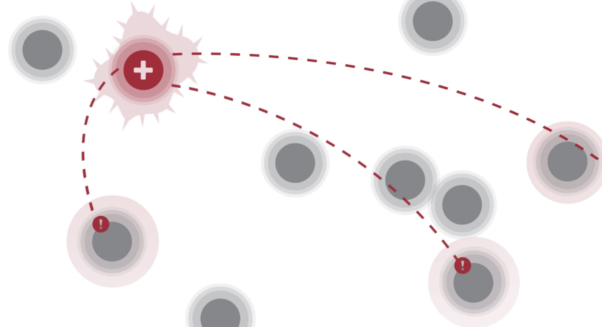 Digital Contact Tracing: A Primer | Berkman Klein Center